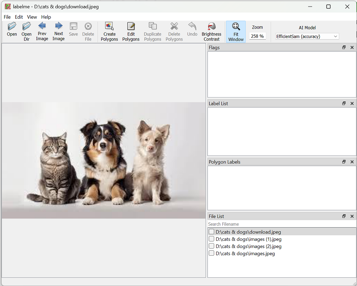 From Annotations to Masks: Automating Multiclass Mask Creation using ...