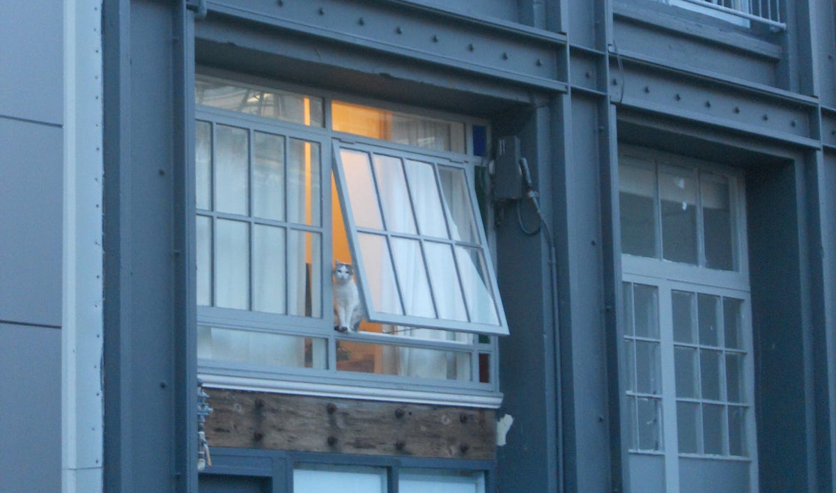 Windows Insets + Fragment Transitions | by Chris Banes | Android Developers | Medium