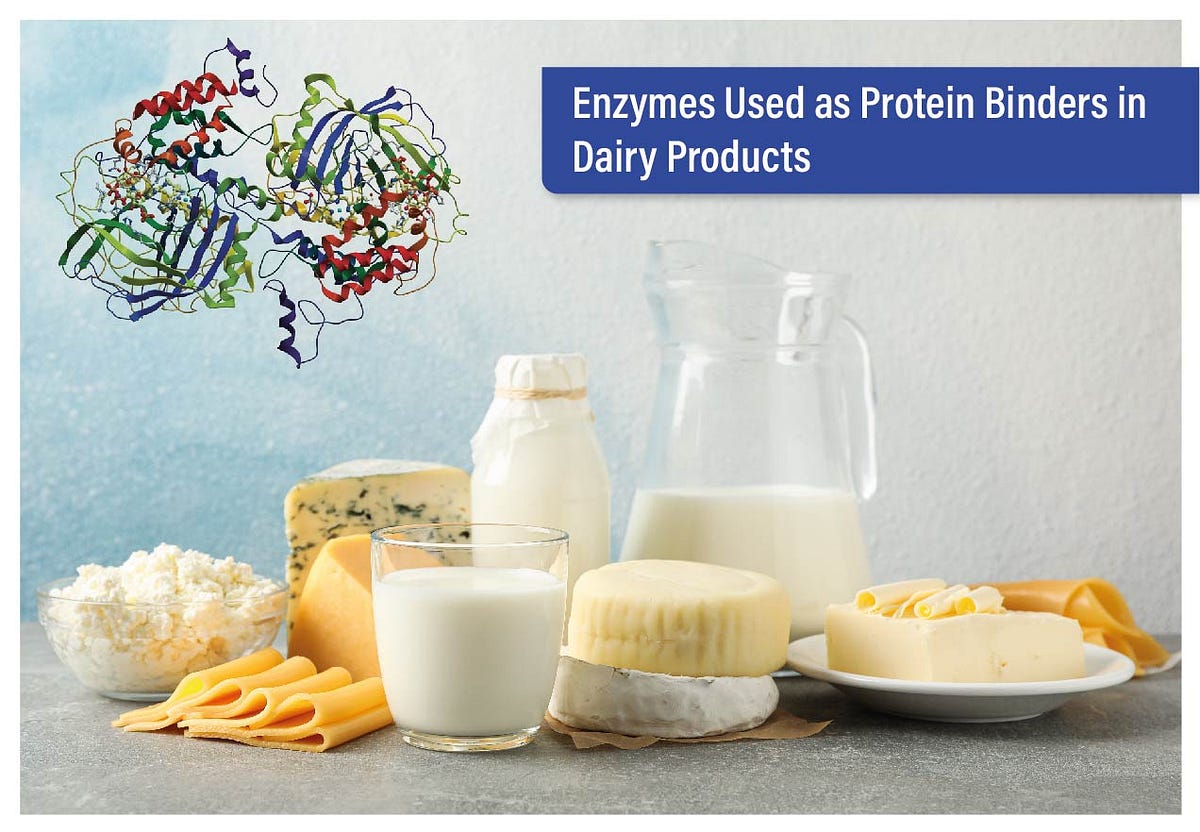 Enzymes Used as Protein Binders in Dairy Products | by Ultrezenzymes ...