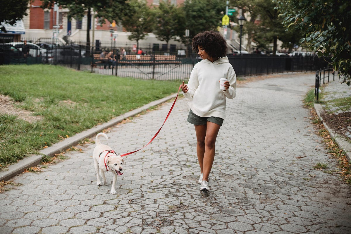 6 Low-Effort Habits That Can Significantly Improve Your Health and ...