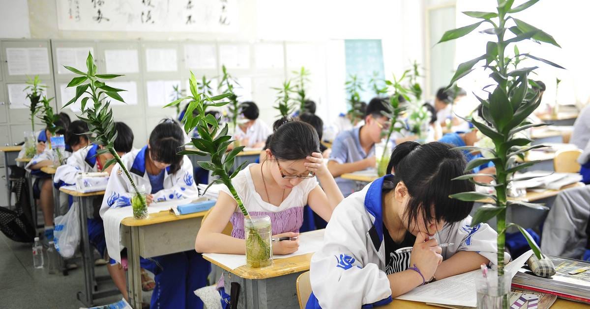 How to Build a Professional Network While Studying in China | by ...