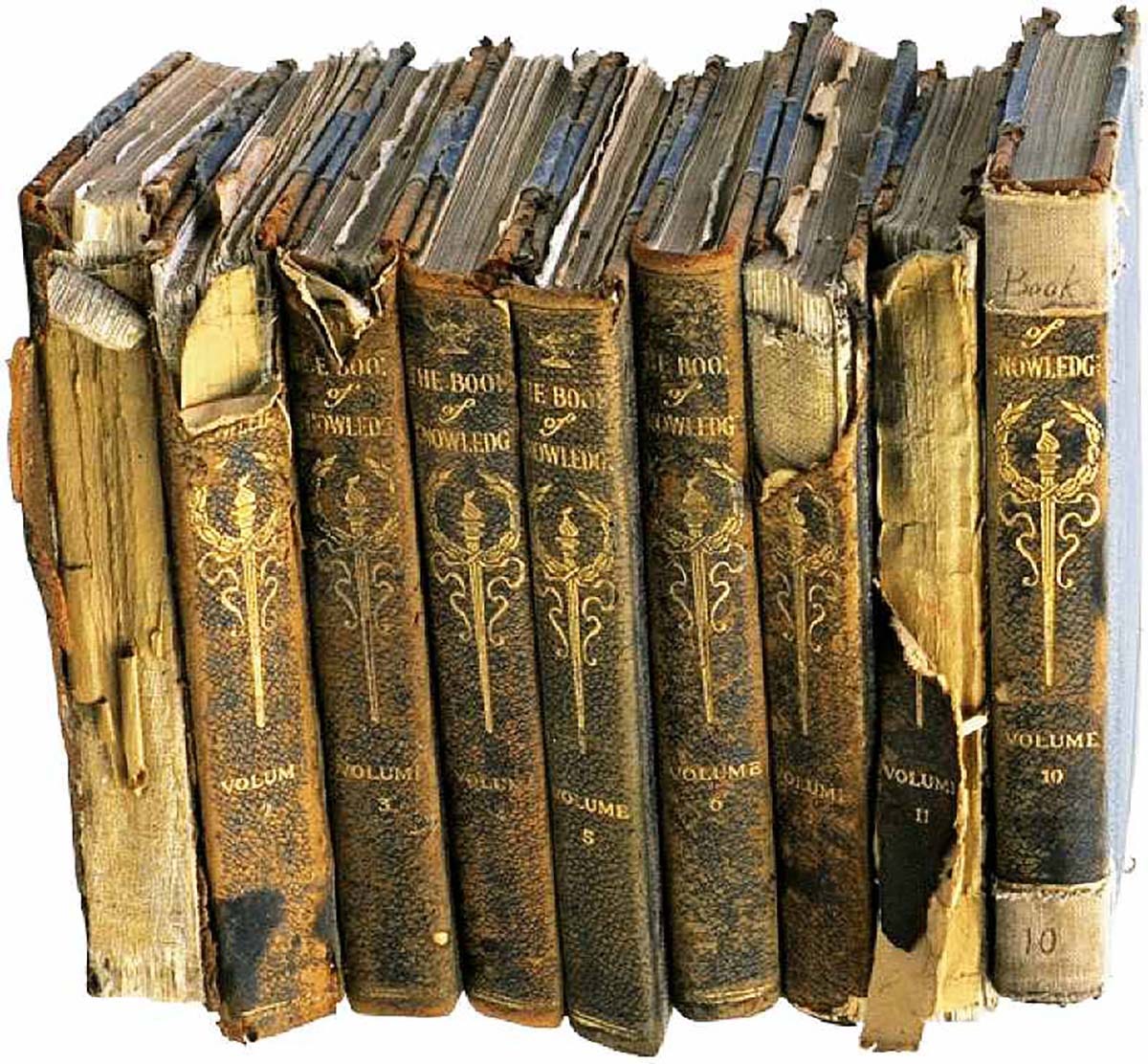 The Canonicity of Scripture. Which books belong in the Bible? | by ...