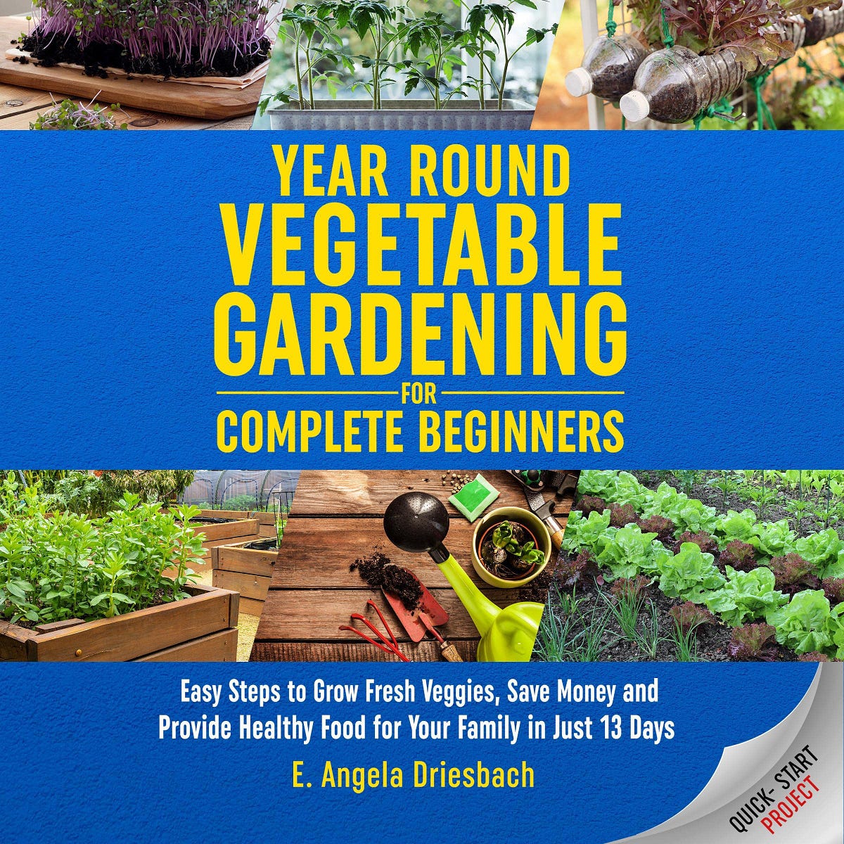 [READ] Year Round Vegetable Gardening for Complete Beginners: Easy ...