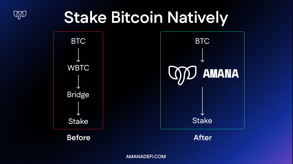 Amana DeFi: Simplifying DeFi Yield for Crypto Beginners | by Amana DeFi | Jul, 2025 | Medium