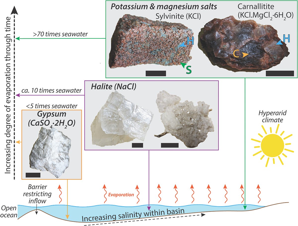 Canadian potash geology, mining, and importance for the world | by ...