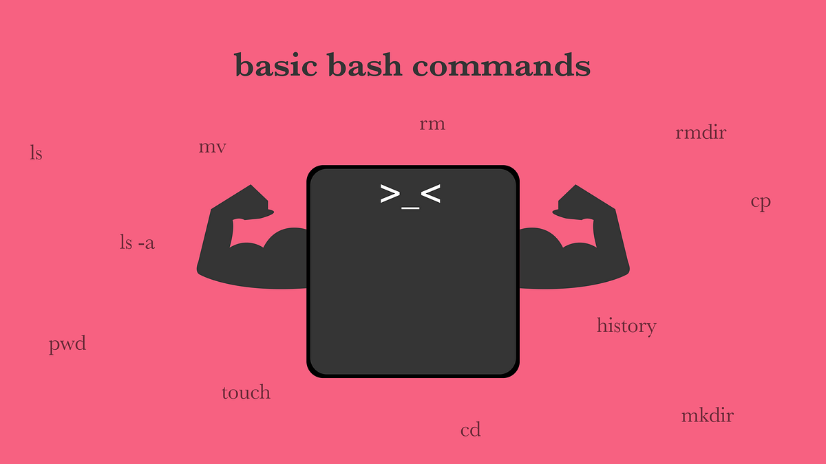 Basic Bash Commands. Learn to navigate with the terminal… | by Lorenz Frank | Geek Culture | Medium