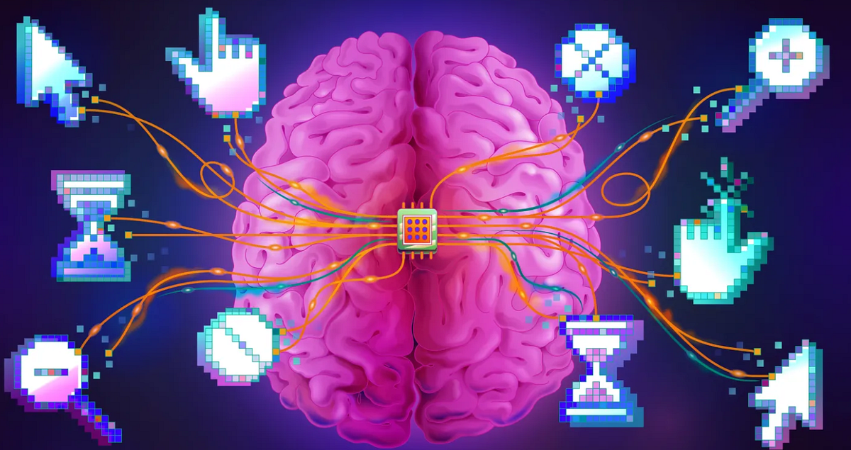 A Beginner’s Journey into the Brain: 3-Part Series | by Anil Bhatt ...