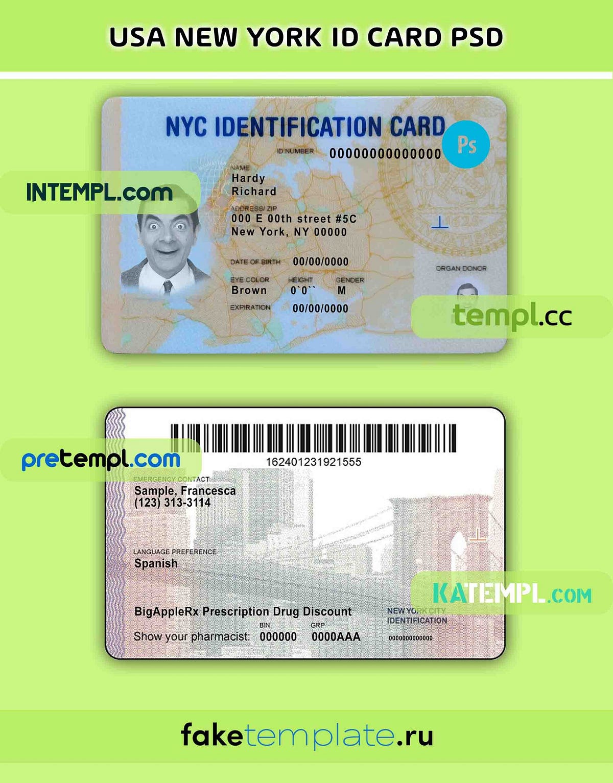 USA New York identity card PSD download template - Intempl - Medium