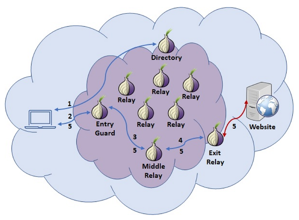 🧅 Anonimity in the Web Based on Routing Protocols — Part 3 | by ...