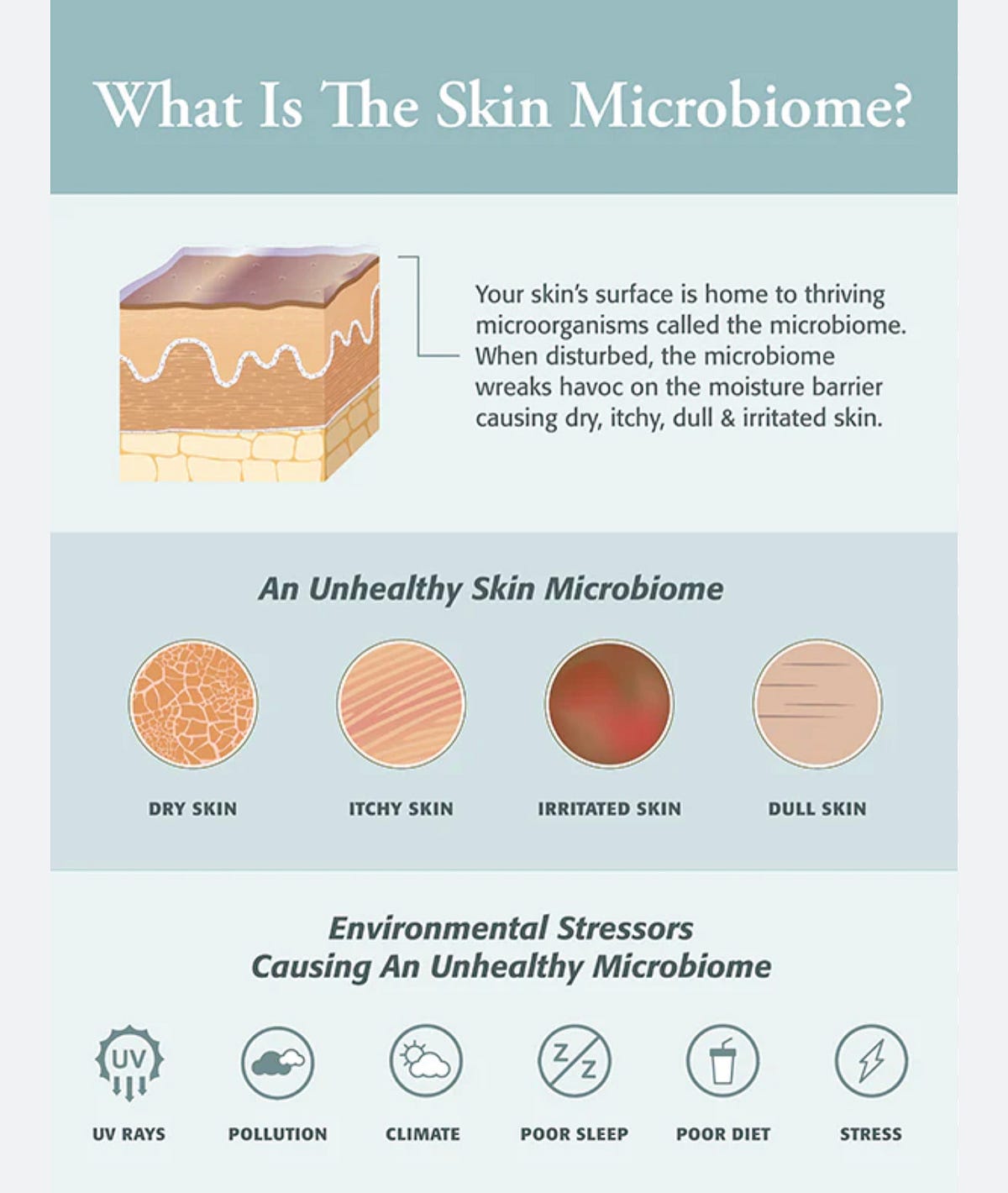 The Importance of The Skin Microbiome | by Cheyanne Mallas | Sep, 2023 ...