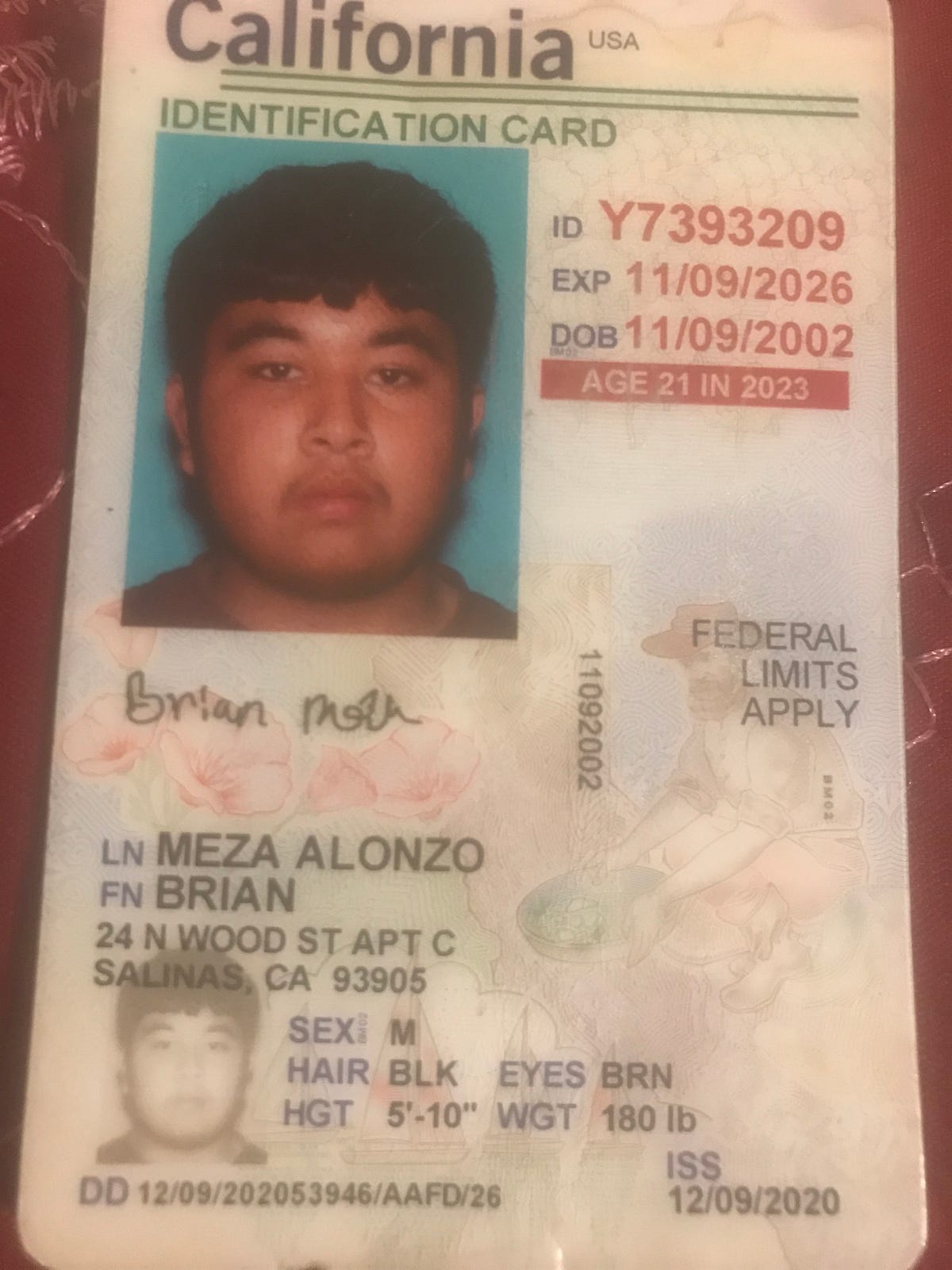 Brian meza - Brian Meza$ - Medium