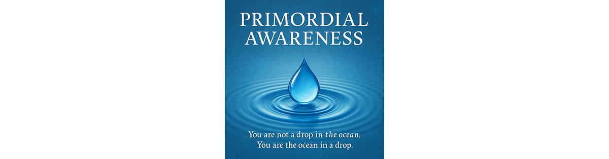 Primordial Awareness: A Light Before Knowledge (An Invitation to ...