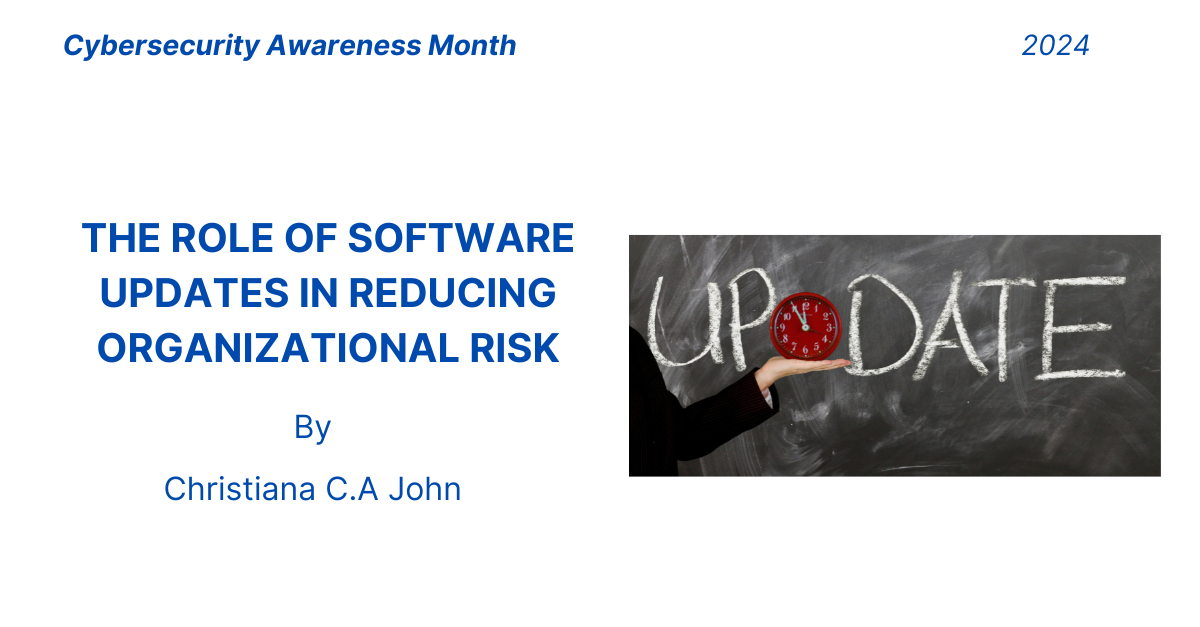 The Role of Software Updates in Reducing Organizational Risk | by ...