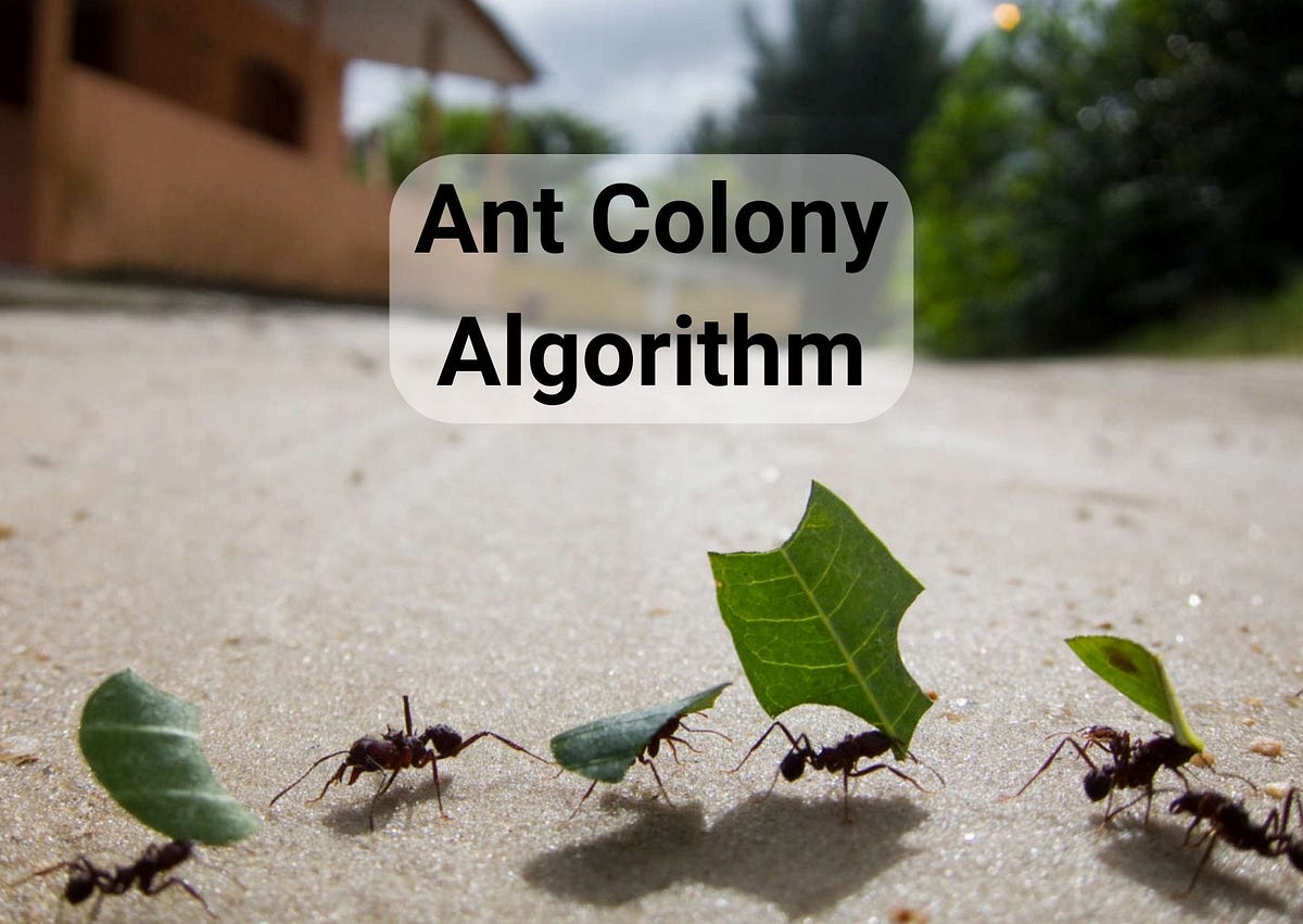 Ant Colony Algorithm. The impressive cooperation and… | by Serdar Zeybek | Medium