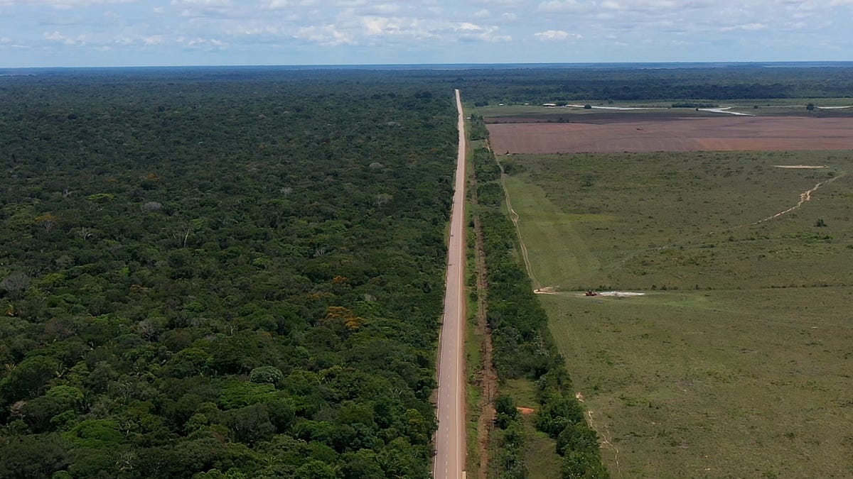 Brazil to Rebuild a Highway Through the Amazon, but At What Cost? | by ...