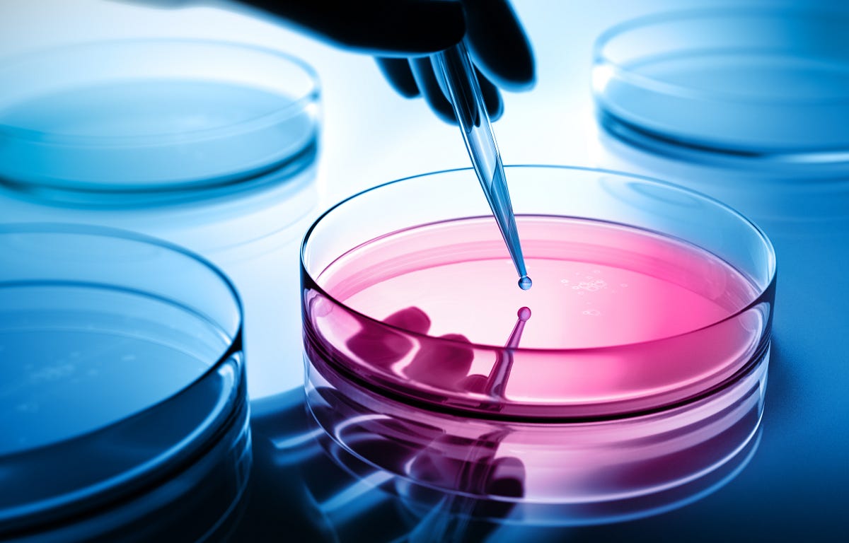Not All Viruses Are Bad. You’ve heard the bad here’s the good | by ...