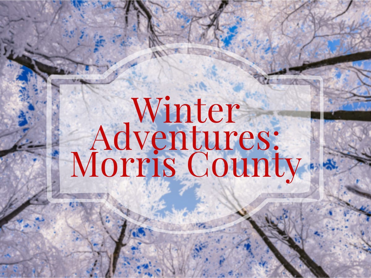 Winter Wonderland in Morris County: Adventures, Culture, and Holiday ...