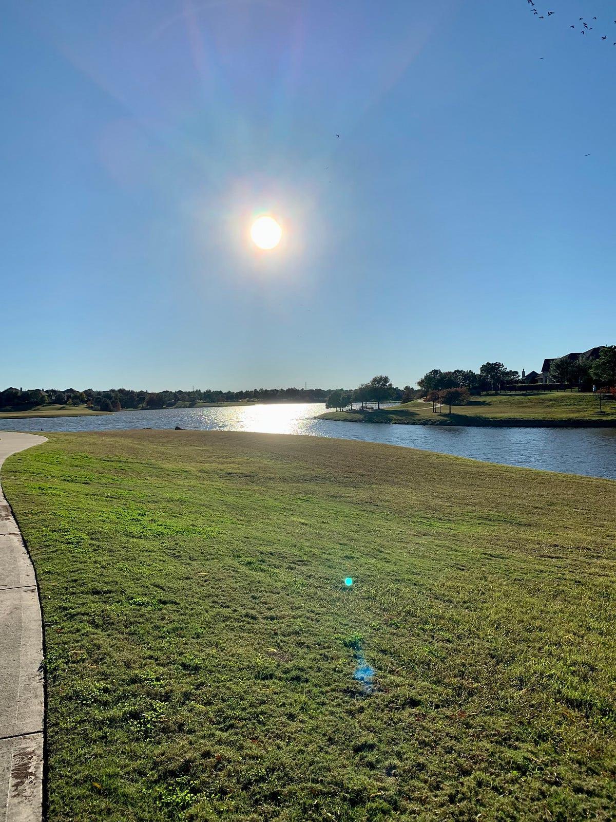 Exploring the Beauty and Tranquility of Nature During a Southern Winter ...