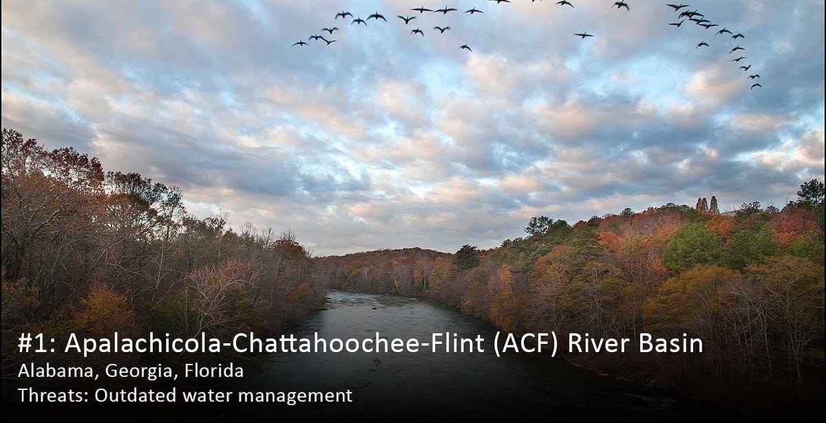 Apalachicola-Chattahoochee-Flint River Basin | by American Rivers ...