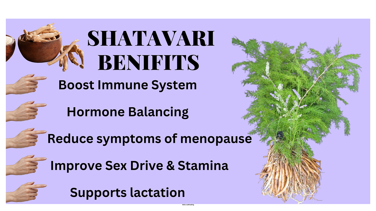 SHATAVARI : BENIFITS | SIDE EFFECTS | AND MORE IN HINDI - JAYU SHREE ...