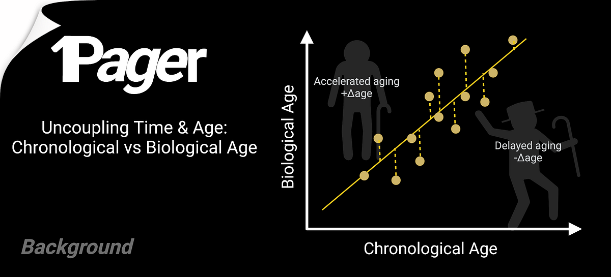 Uncoupling Time & Age: Chronological versus Biological Age | by Jordan ...