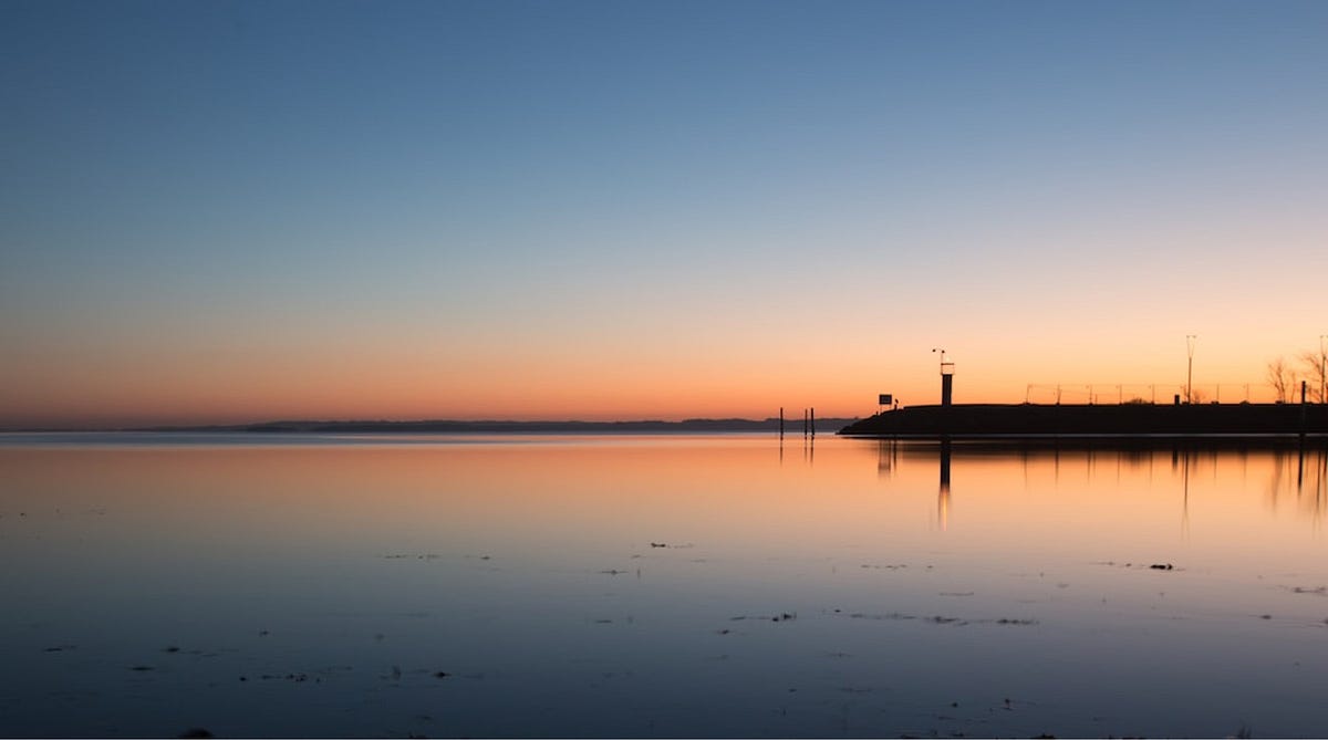 Strength In Stillness. Introspective Moments With The Alpha | by Paul | Medium