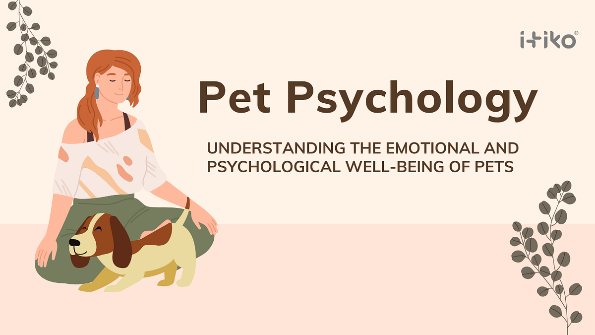 Pet Psychology: Understanding the Emotional and Psychological Well-being of Pets | by Itiko ...