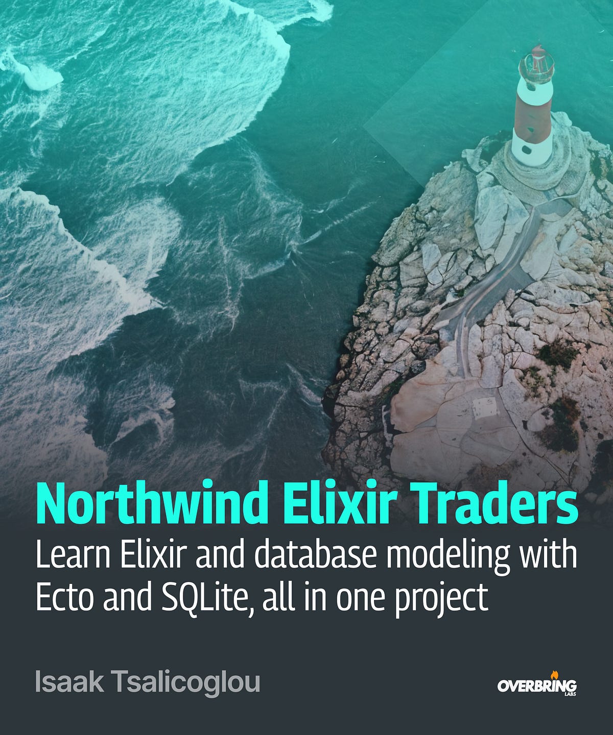 Northwind Elixir Traders. by Isaak Tsalicoglou | by Margaret Eldridge | The Pragmatic ...