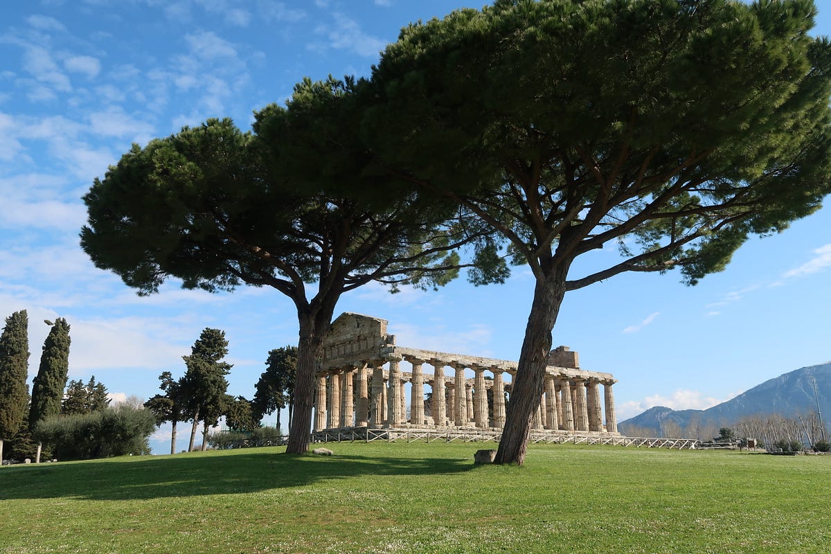 Changing the Pace of Food. By Tiffany Yeung | by Guac Magazine Editors | Guac Magazine | Medium