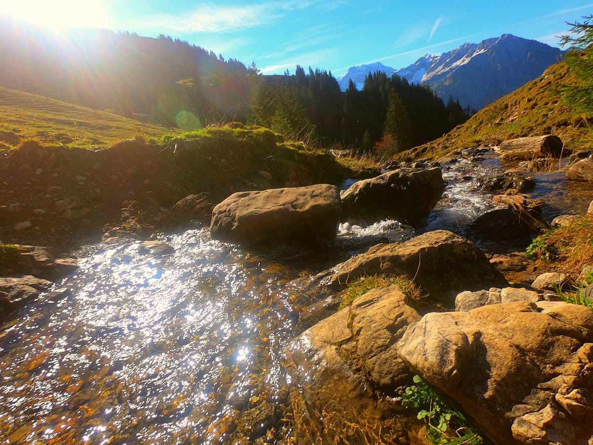Let’s Explore our own Backyard and Beyond | by Anne Bonfert | World ...
