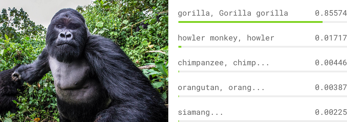 Trying TensorFlow’s image recognition script | by Bastien Petit | Medium