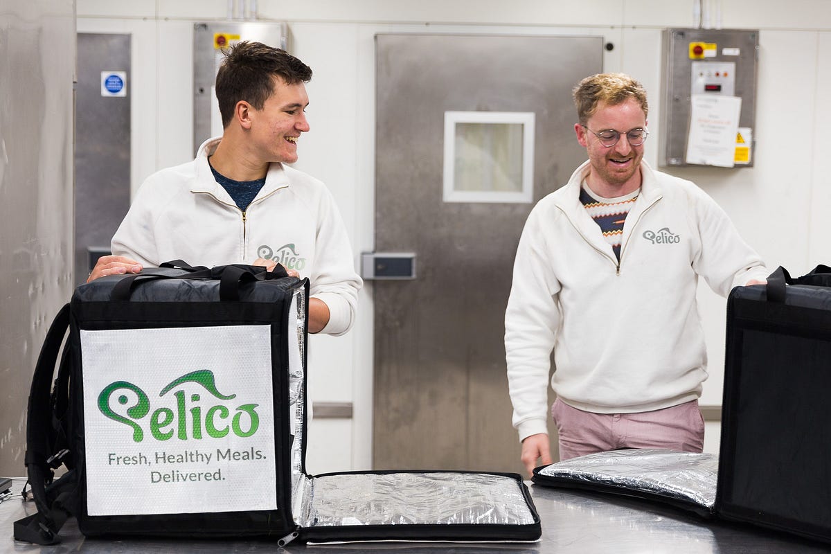 Meet Kit and Ben. Two Pelican’s on a mission to deliver… | by Pelico ...
