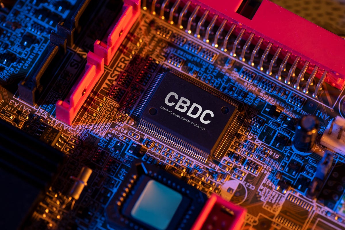 Can We Afford CBDCs at the Expense of STEM Education? | by Andrew B ...