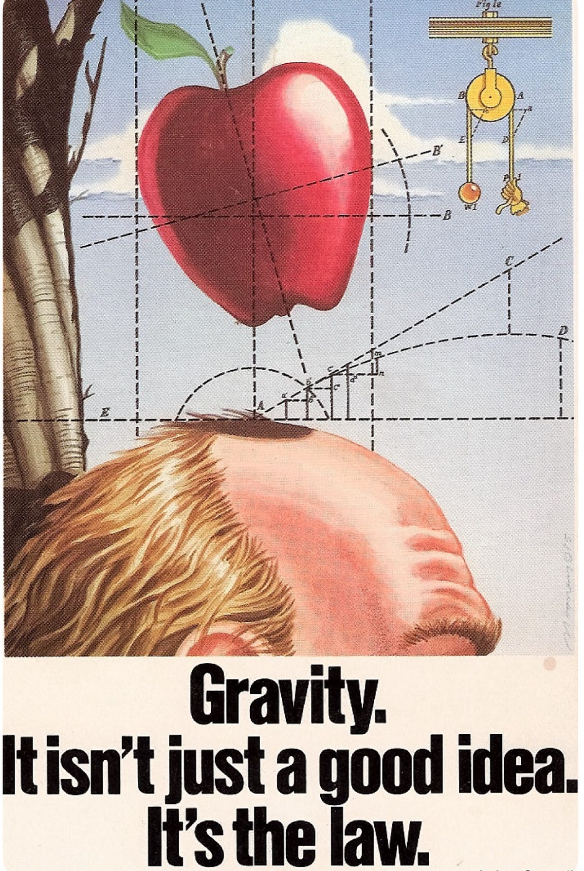 Gravity: It’s Not Just a Good Idea It’s the Law | by Minehli Arakelians ...