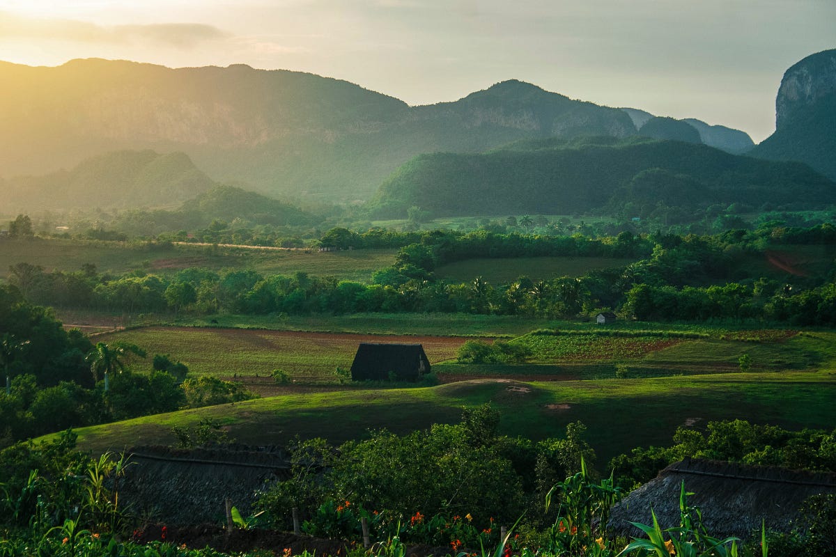 How photography helped me become a better UX designer. | by David ...
