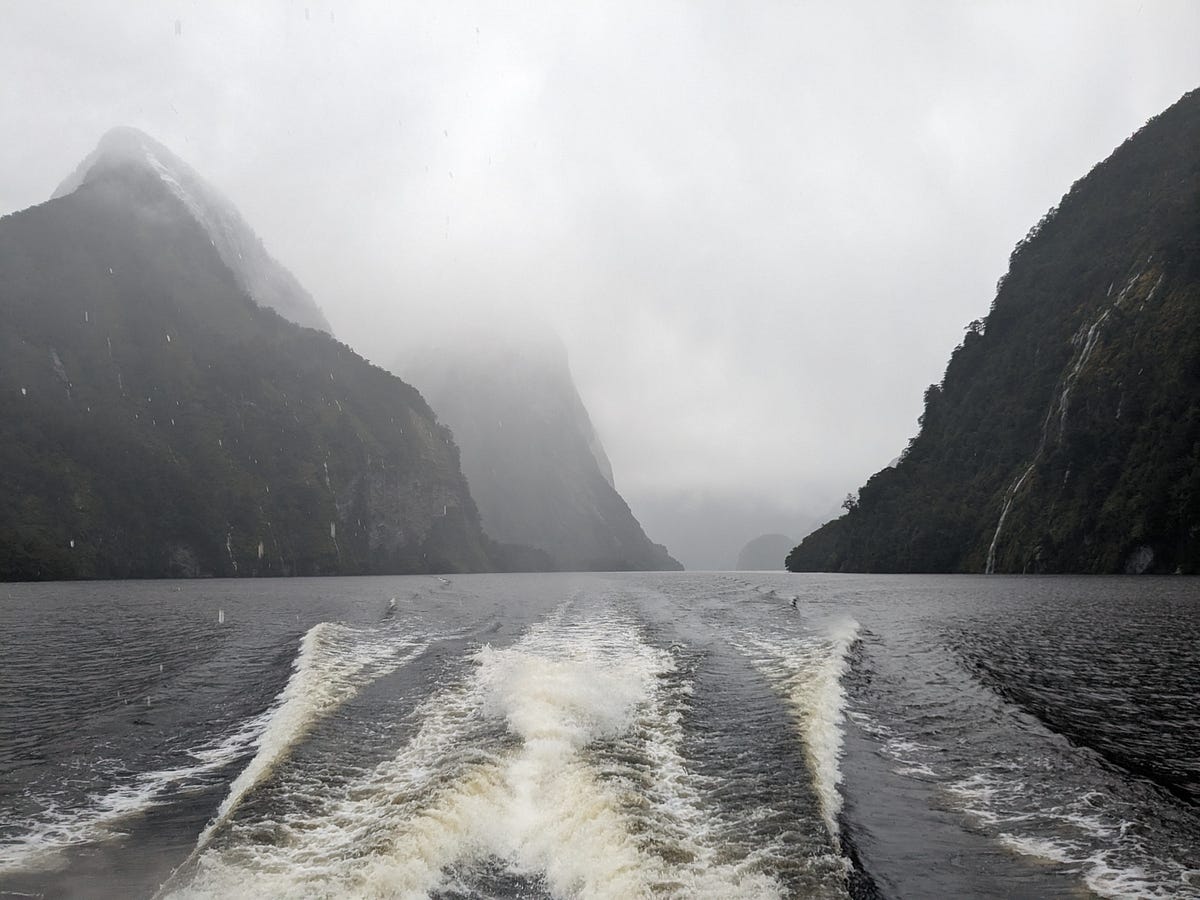 Doubtful Sound. I was indeed doubtful about this… | by Emma Andrea | Medium