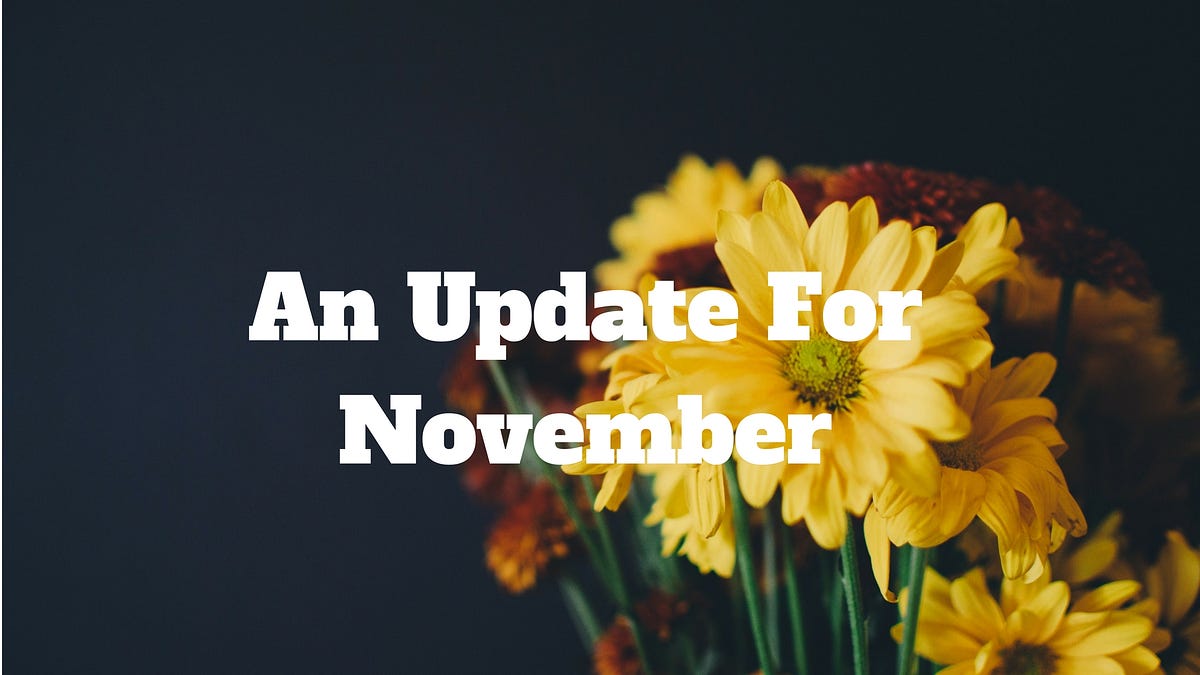 An Update For November. It’s already been a month | by Zack Chapepa ...
