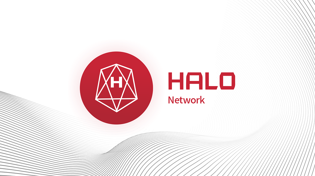 HALO Network: A General Overview. The world has gone digital; the… | by ...