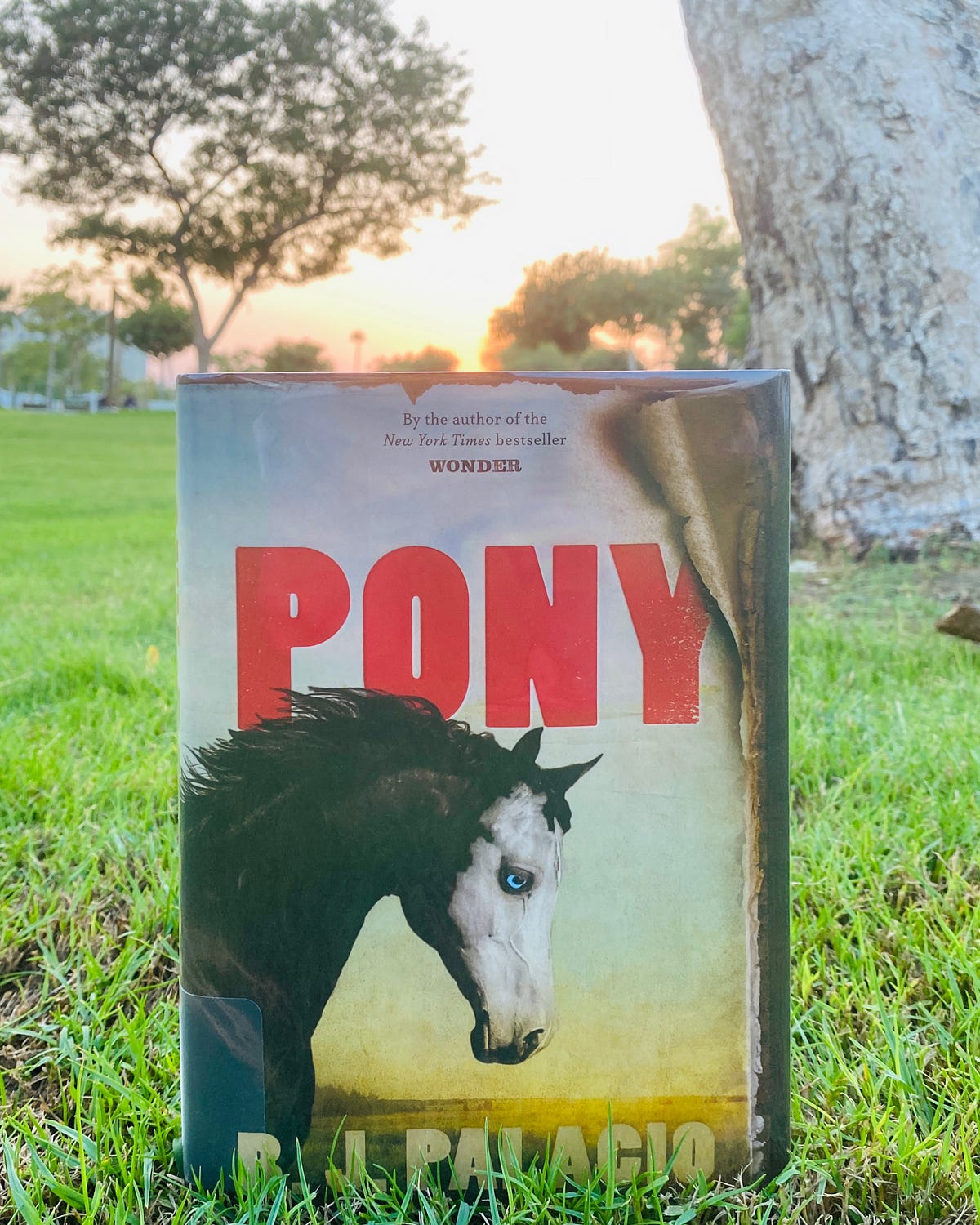 “Pony” by R.J. Palacio. Book Review | by Amanda Mandakini | Medium