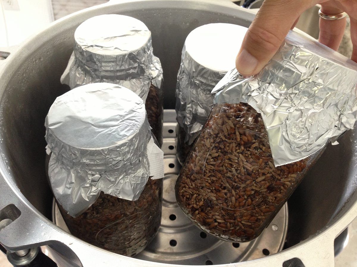 Substrate sterilization: definition, different approaches, when, and ...