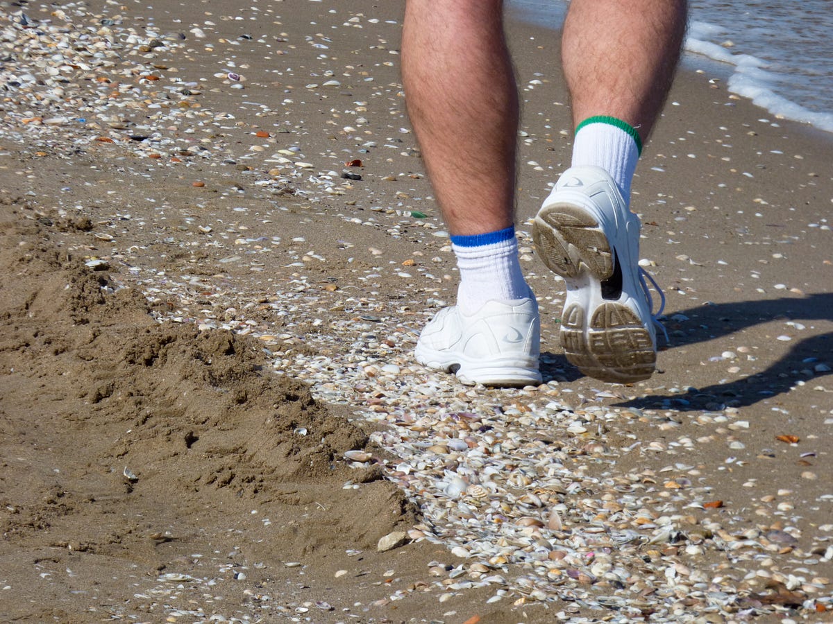 Principles of Beach Traffic. A definitive guide to movement on sand ...