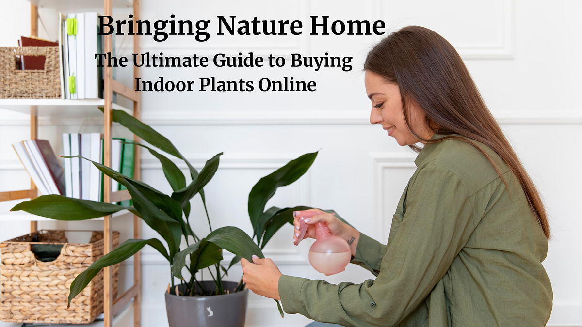 Bringing Nature Home : The Ultimate Guide to Buying Indoor Plants ...