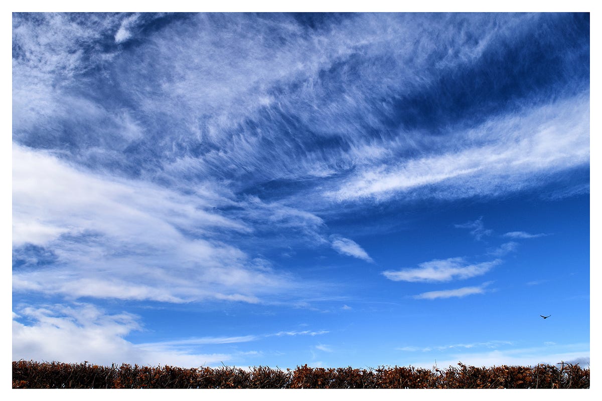 The Reality of Light Reality Contemporary Photography - Contemporary ...