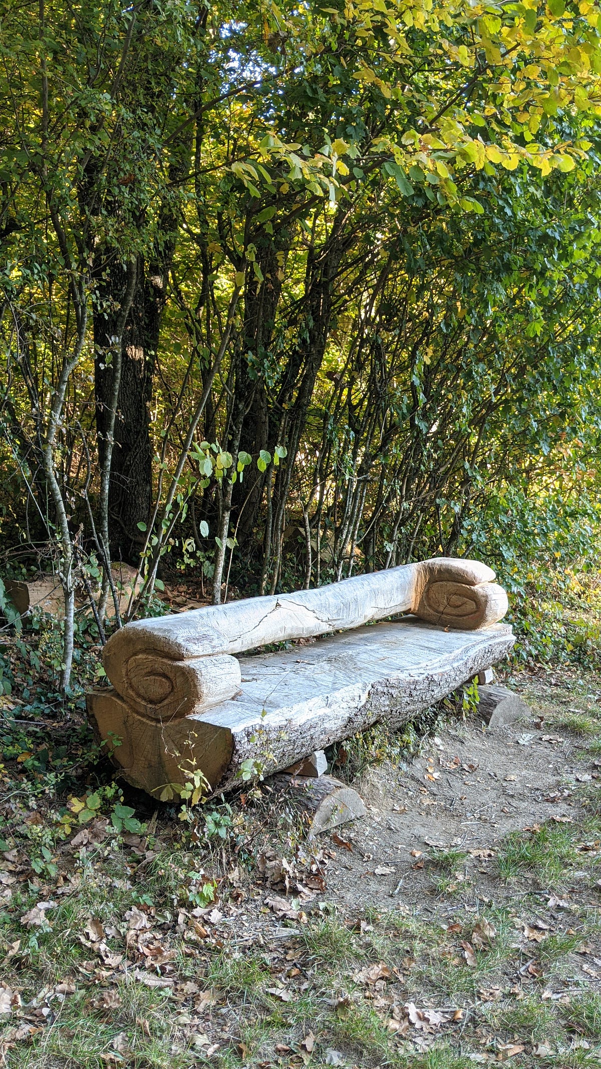 Wildwood furniture. My trilogy on wood was quite successful… | by ...