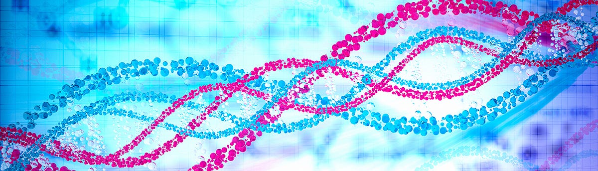 Let’s Know about SNP Genotyping and Analysis | by Pooja S | Feb, 2024 ...