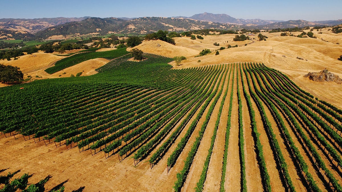 2022 Roadmap: Massive Expansion to Vintage Charts | by Wine Grounds ...