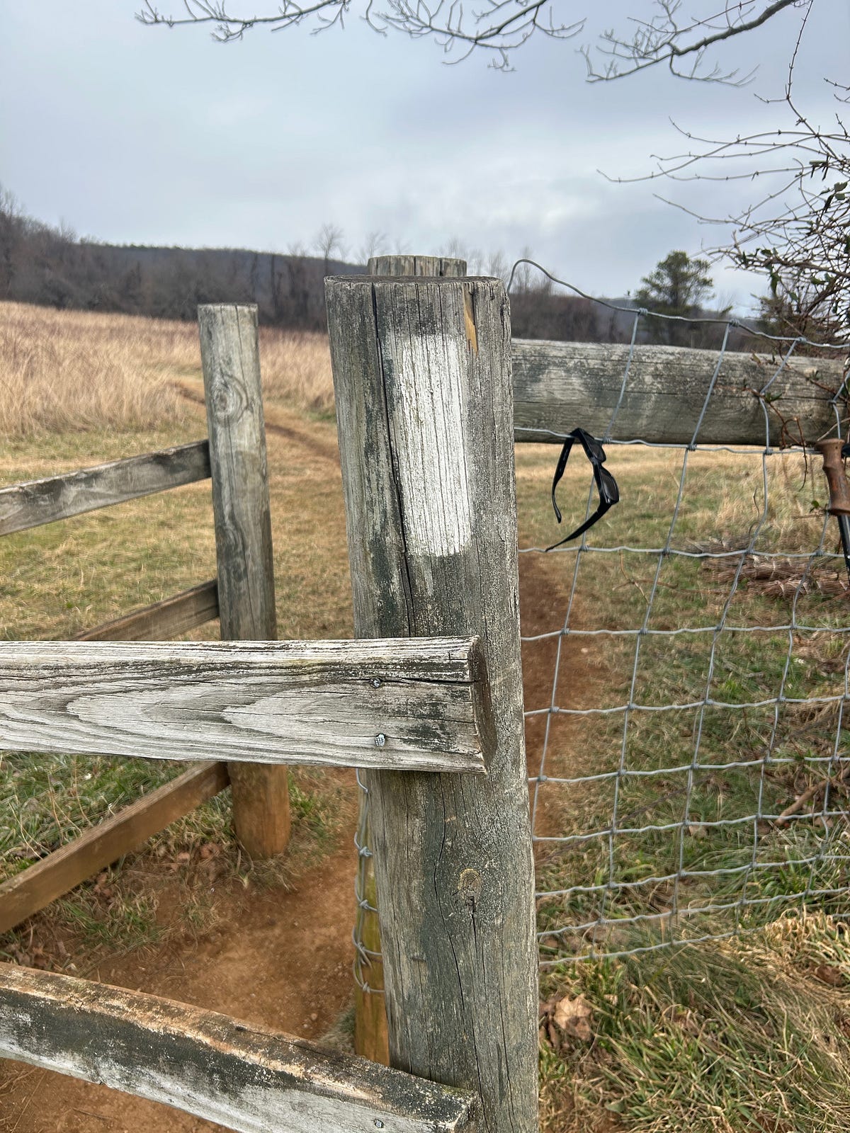 At Fifty, I Begin.. Initiating a conscious life reset. A… | by Ken ...