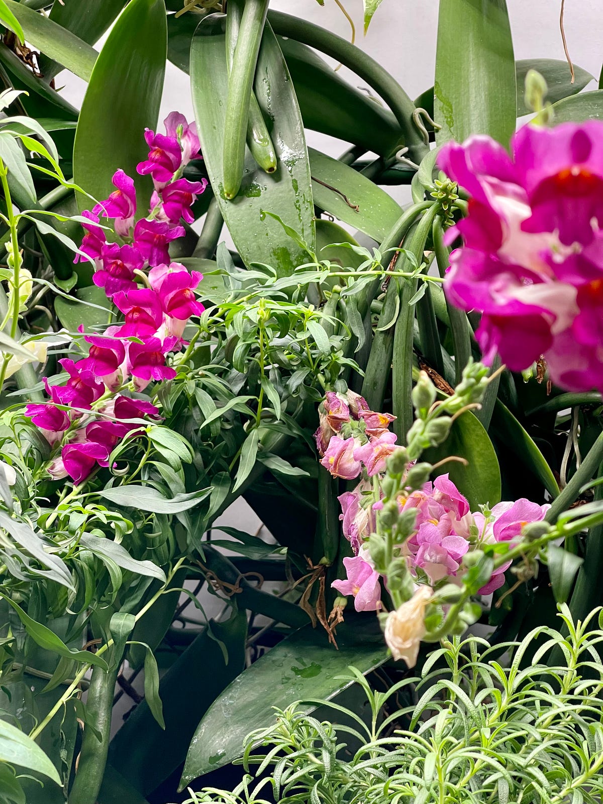 Acceptance.. Walking in my garden, puts me in my… | by Dr John Frederick Rose | ILLUMINATION ...