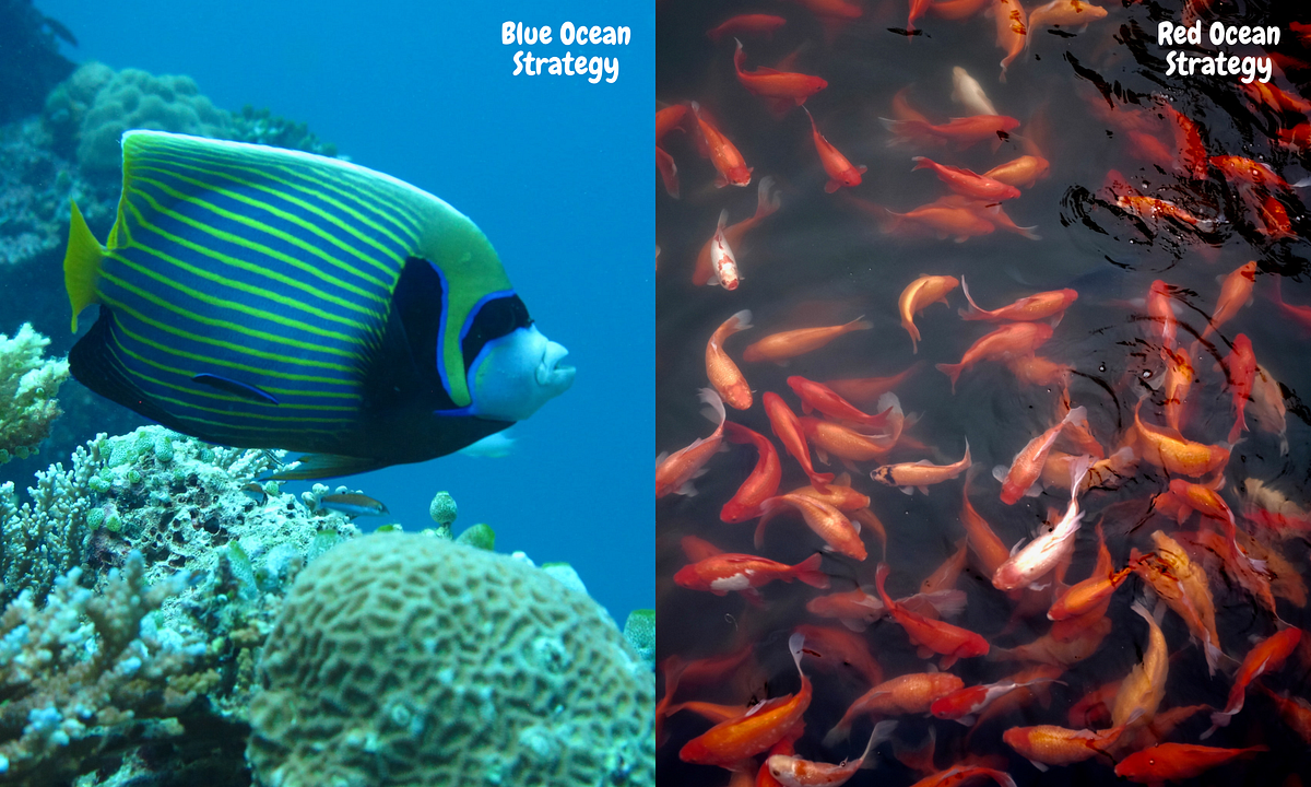 3 Red Ocean Pitfalls You Must Avoid for a Successful Blue Ocean ...