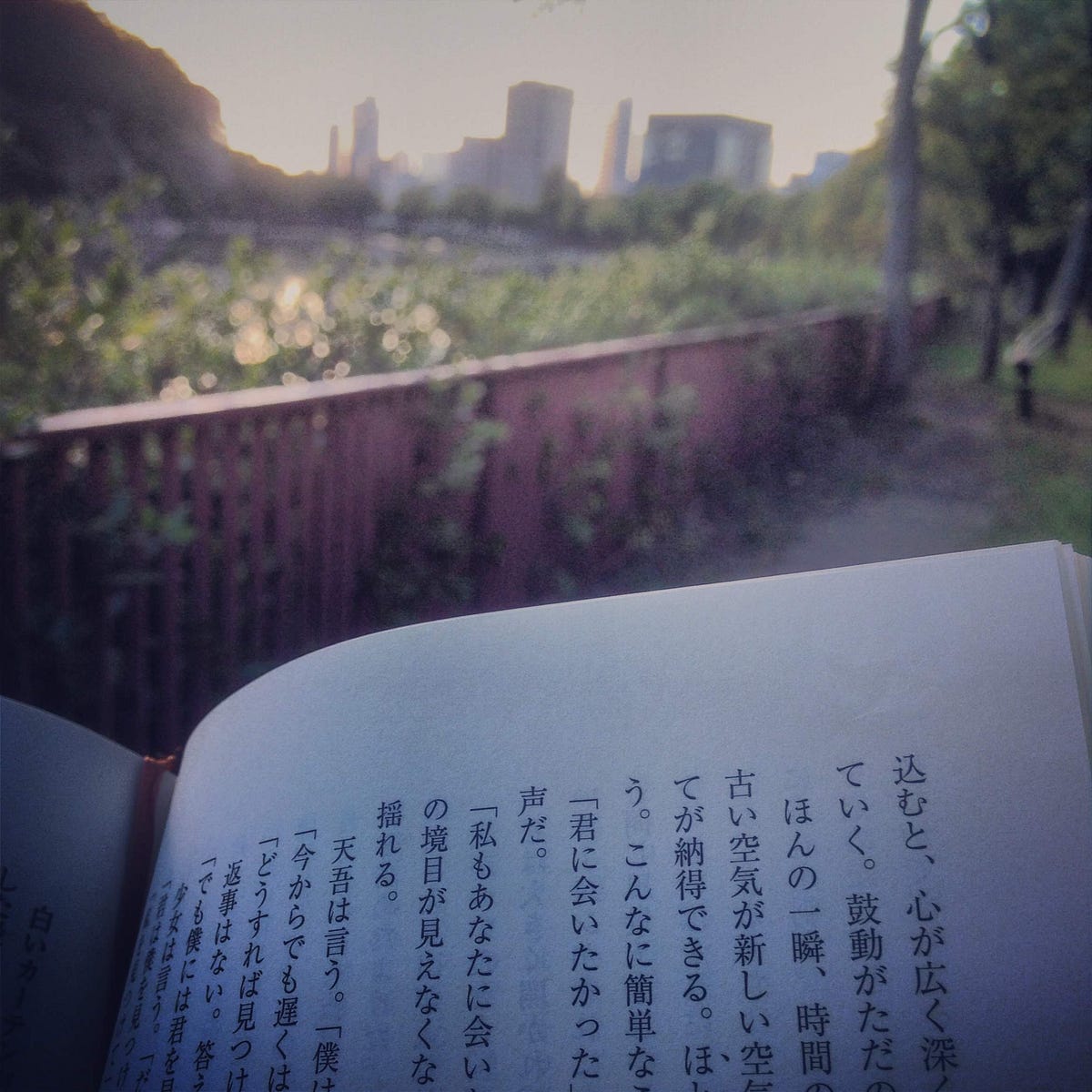 The Strengths of Kanji: Advantages for Japanese Learners and Native ...
